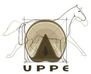 Référentiel professionnel de l'UPPE